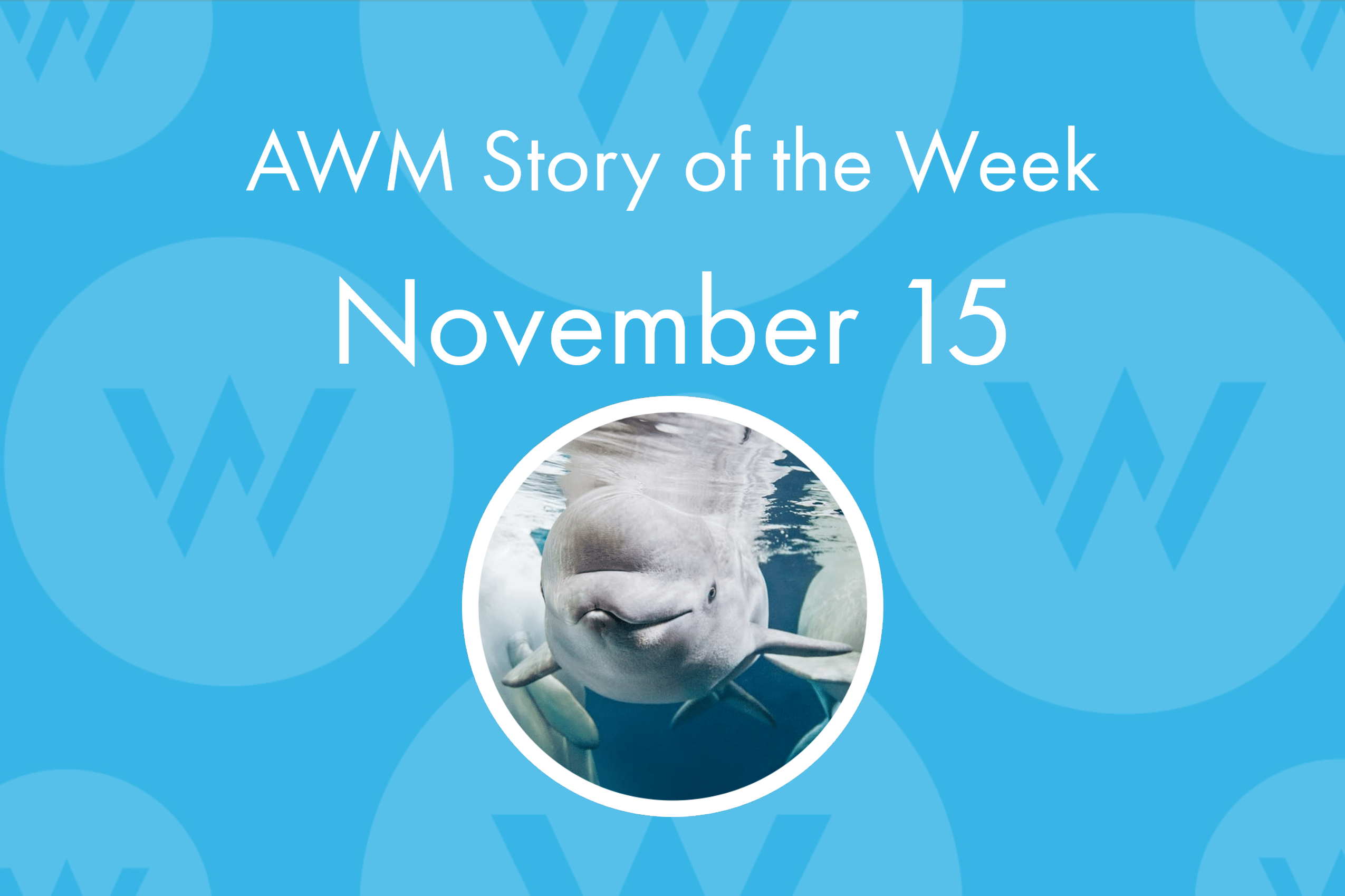 AWM Story of the Week 11/15 - The American Writers Museum